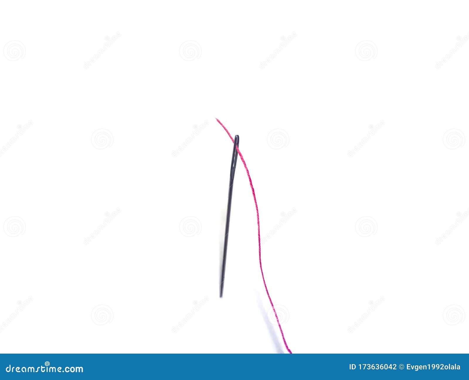 Needle on a White Background. Stock Photo - Image of precision, white ...