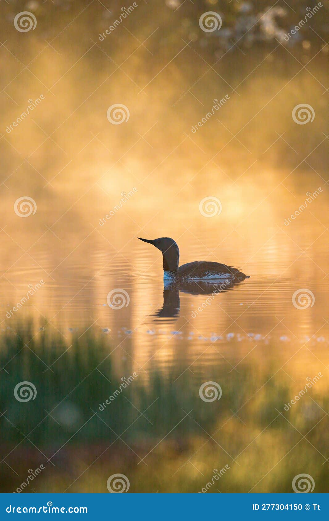 The Lake Er Loon Yan In Front Of The Monastery Choon Lin Sy Zhongling ...