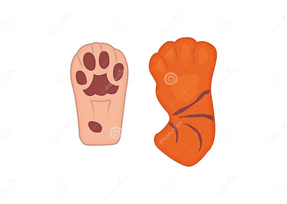 Red Tiger Paws Front and Back View. Hand Drawing Tiger Stock Vector ...