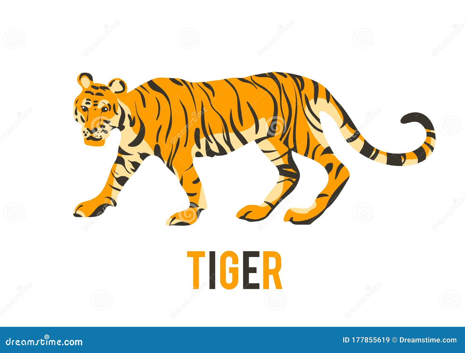Red tiger. stock vector. Illustration of cartoon, realistic - 177855619