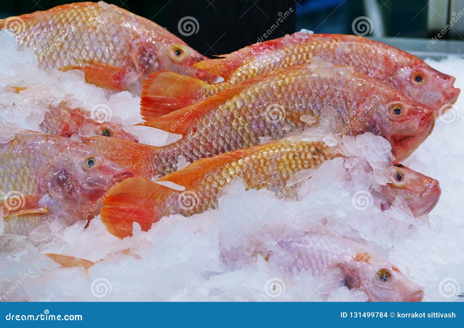 Red Tilapia Fish or Ruby Fish with Ice in a Market Stock Photo - Image ...
