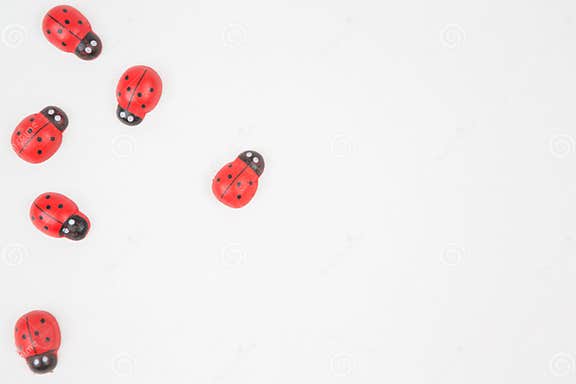 Red Tiny Bugs on White Background Stock Image - Image of office, funny ...