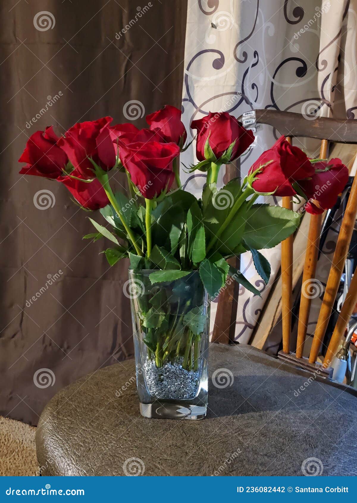 Red tips green stems stock photo. Image of tips, green - 236082442