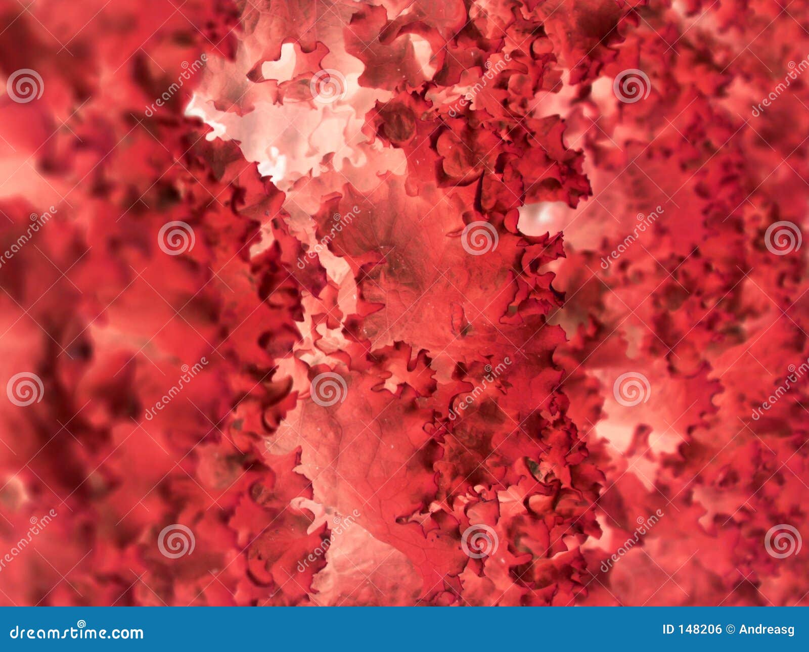 Red tissue stock photo. Image of flower, structure, glowing - 148206