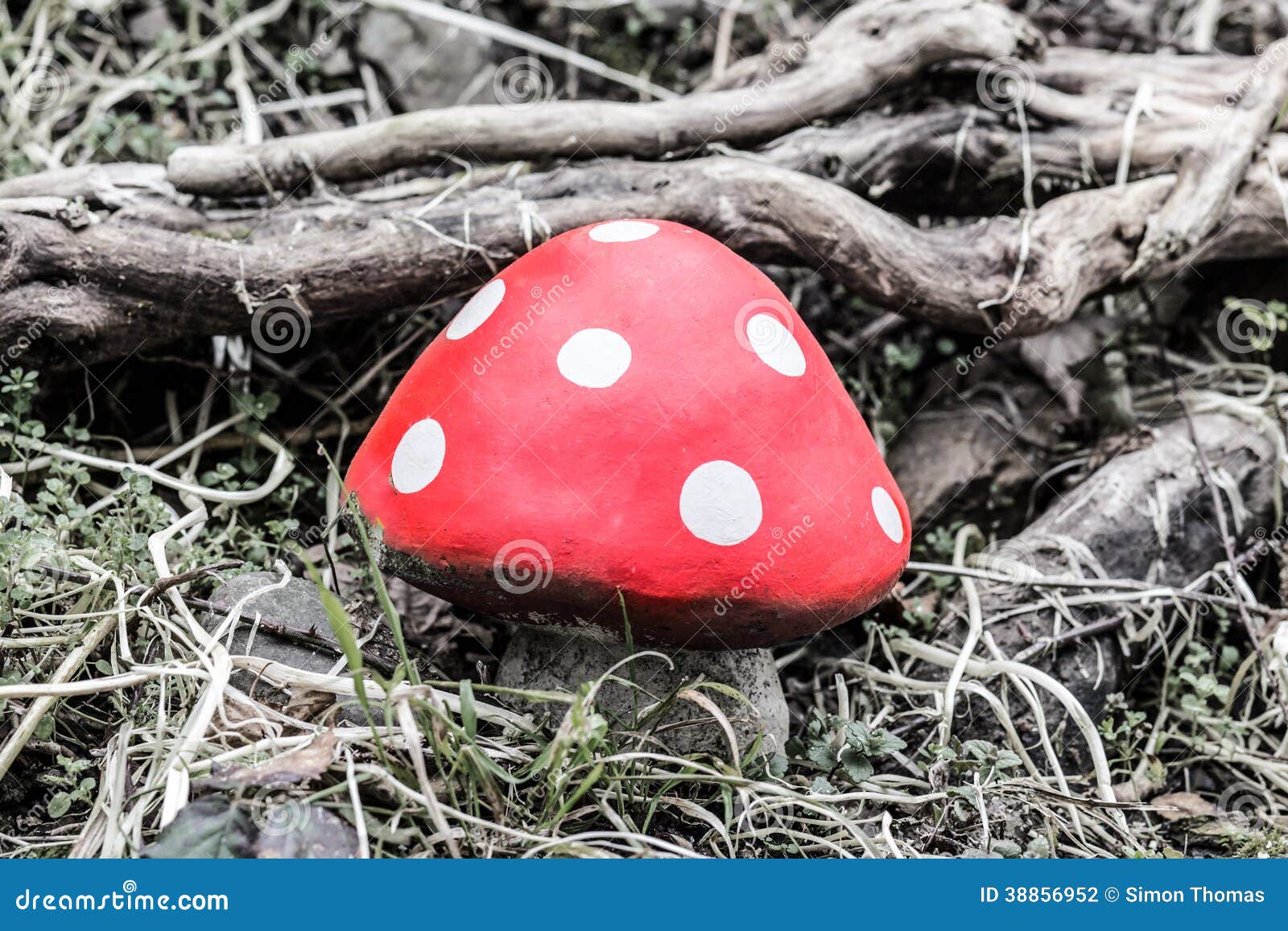 Red Toadstool stock photo. Image of lucky, spots, fantasy - 38856952