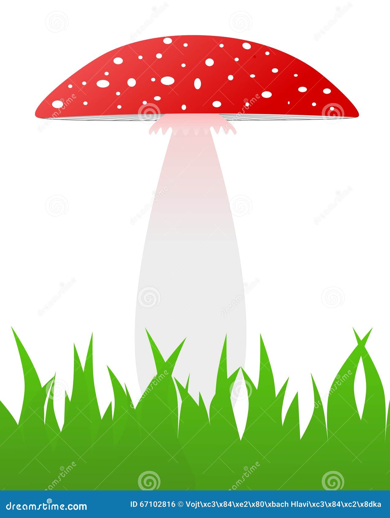 Red Toadstool Grow in Grass - Illustration Stock Illustration ...