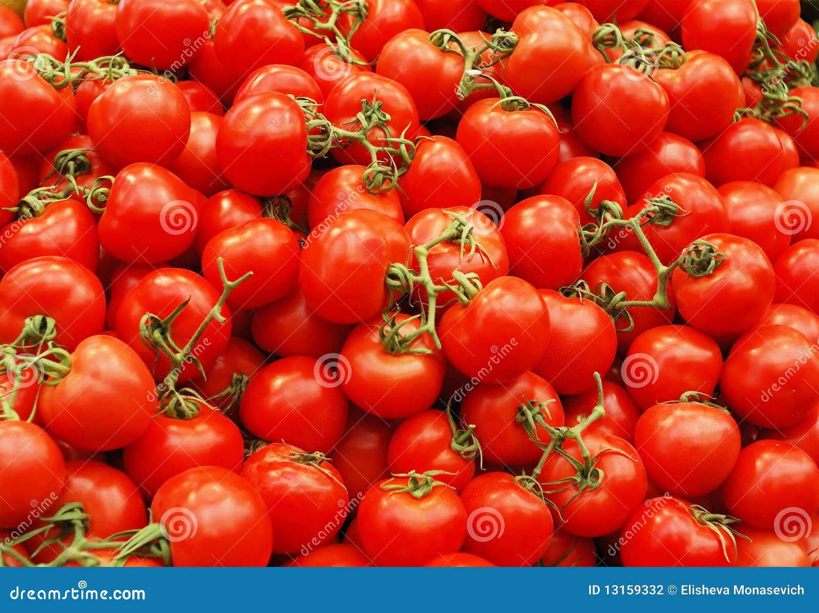 Red tomates stock photo. Image of israel, nature, gardening - 13159332