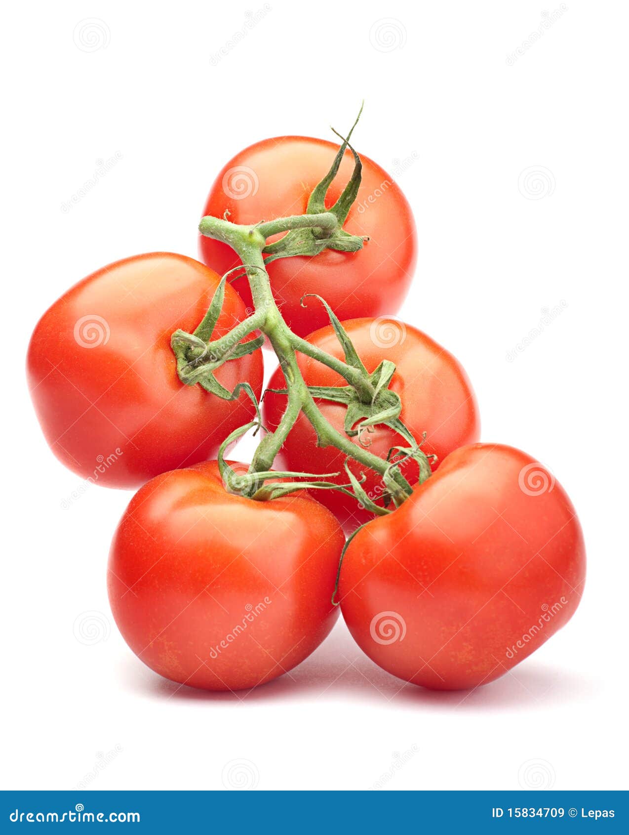 Red tomato stock image. Image of organic, closeup, freshness - 15834709