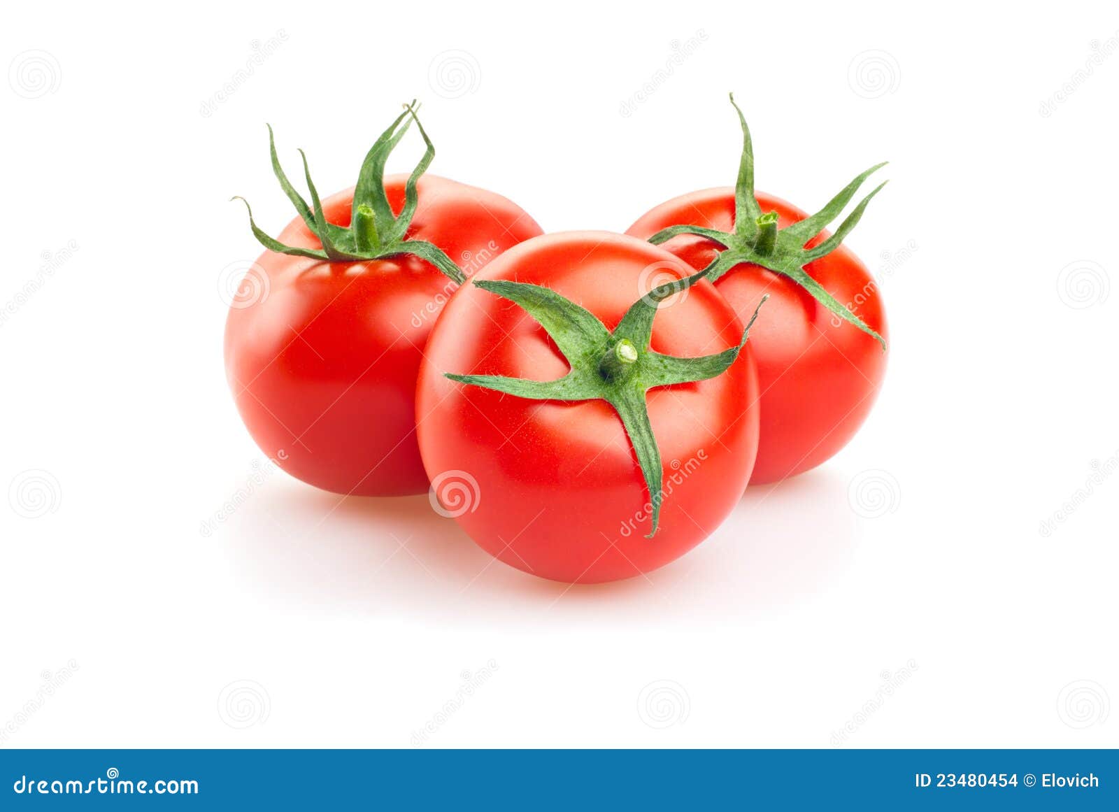 Red tomato stock photo. Image of agriculture, juicy, cooking - 23480454