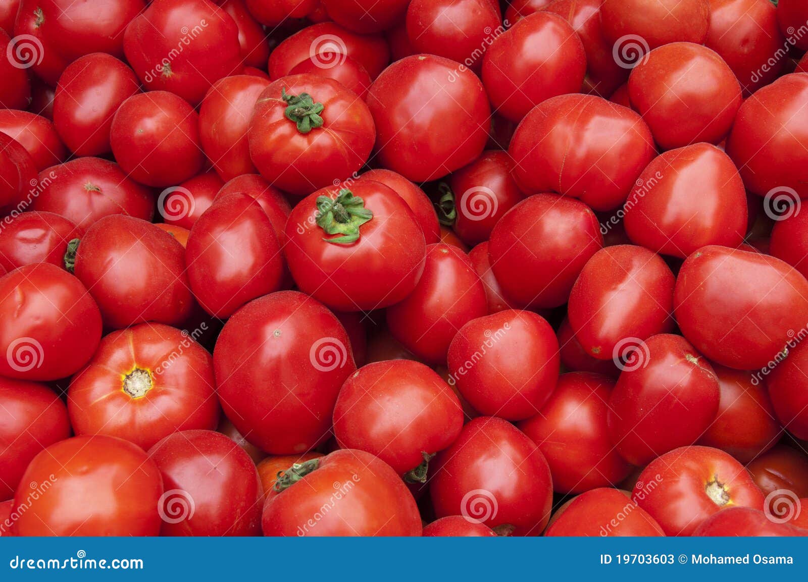Red Tomato Crop Texture stock image. Image of fresh, feed - 19703603