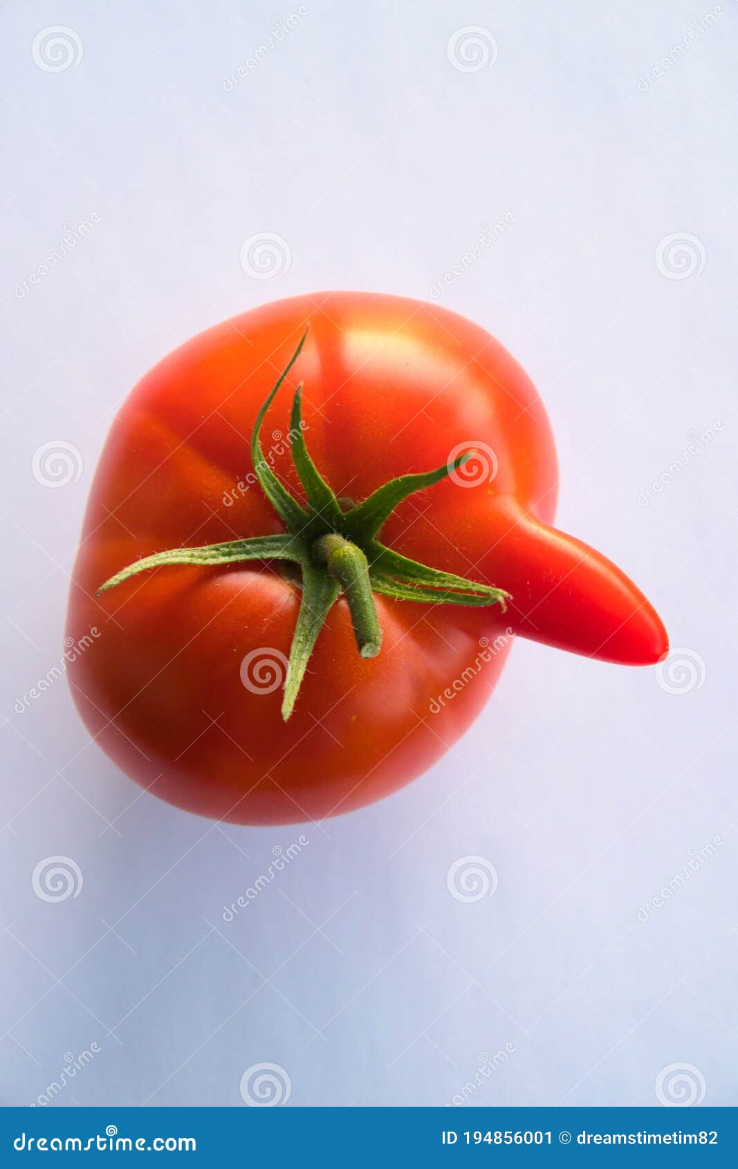 A Red Tomato with a Deformity Stock Image - Image of funny, abnormal ...