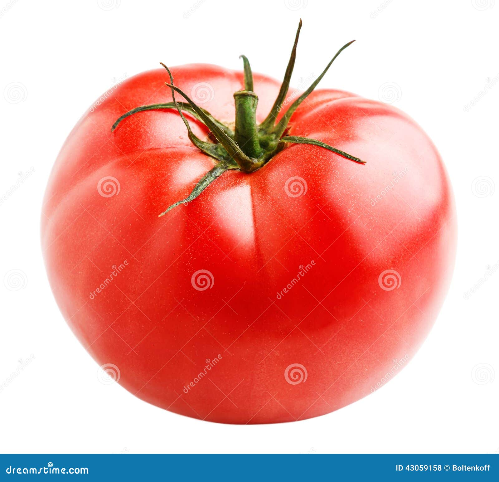 Red tomato stock photo. Image of vegetable, food, tomatoe - 43059158