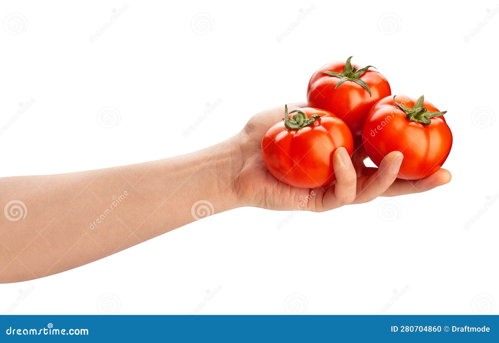 Red tomato in hand stock photo. Image of tasty, vegetable - 280704860