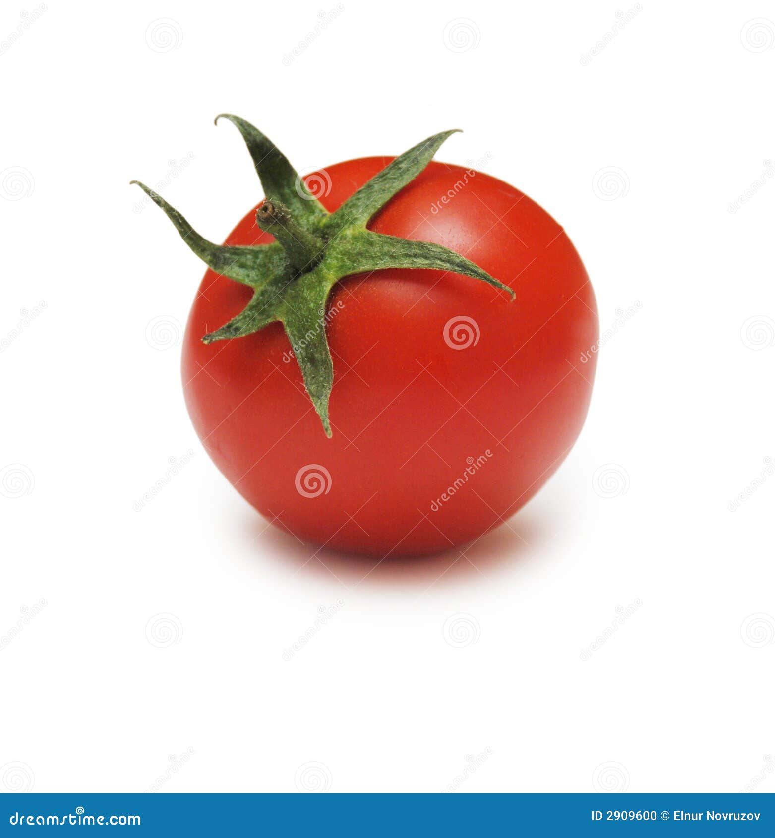 Red tomato isolated stock photo. Image of abundance, paprika - 2909600