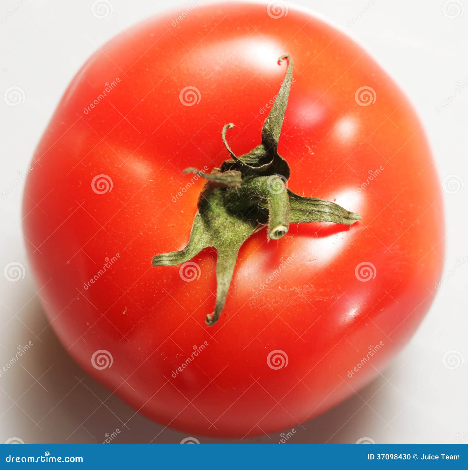 Red Tomato stock photo. Image of background, gardening - 37098430