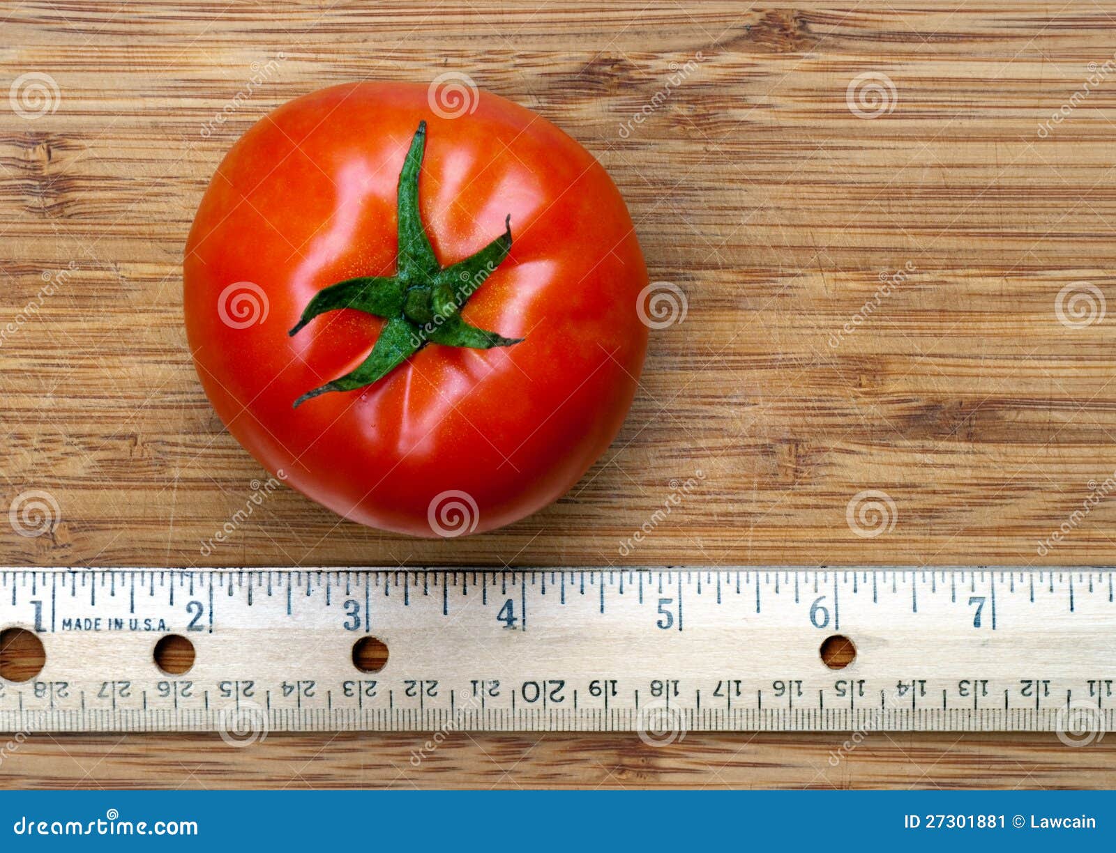 Red Tomato with Ruler stock image. Image of fresh, life - 27301881