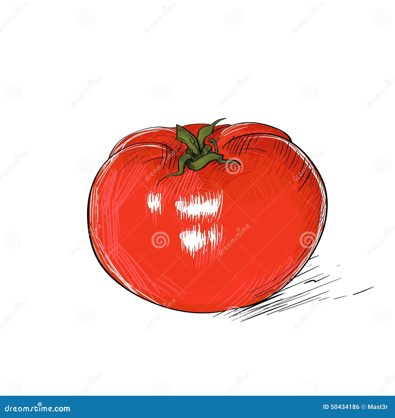 Red Tomato Sketch Draw Isolated Over White Stock Vector - Illustration ...