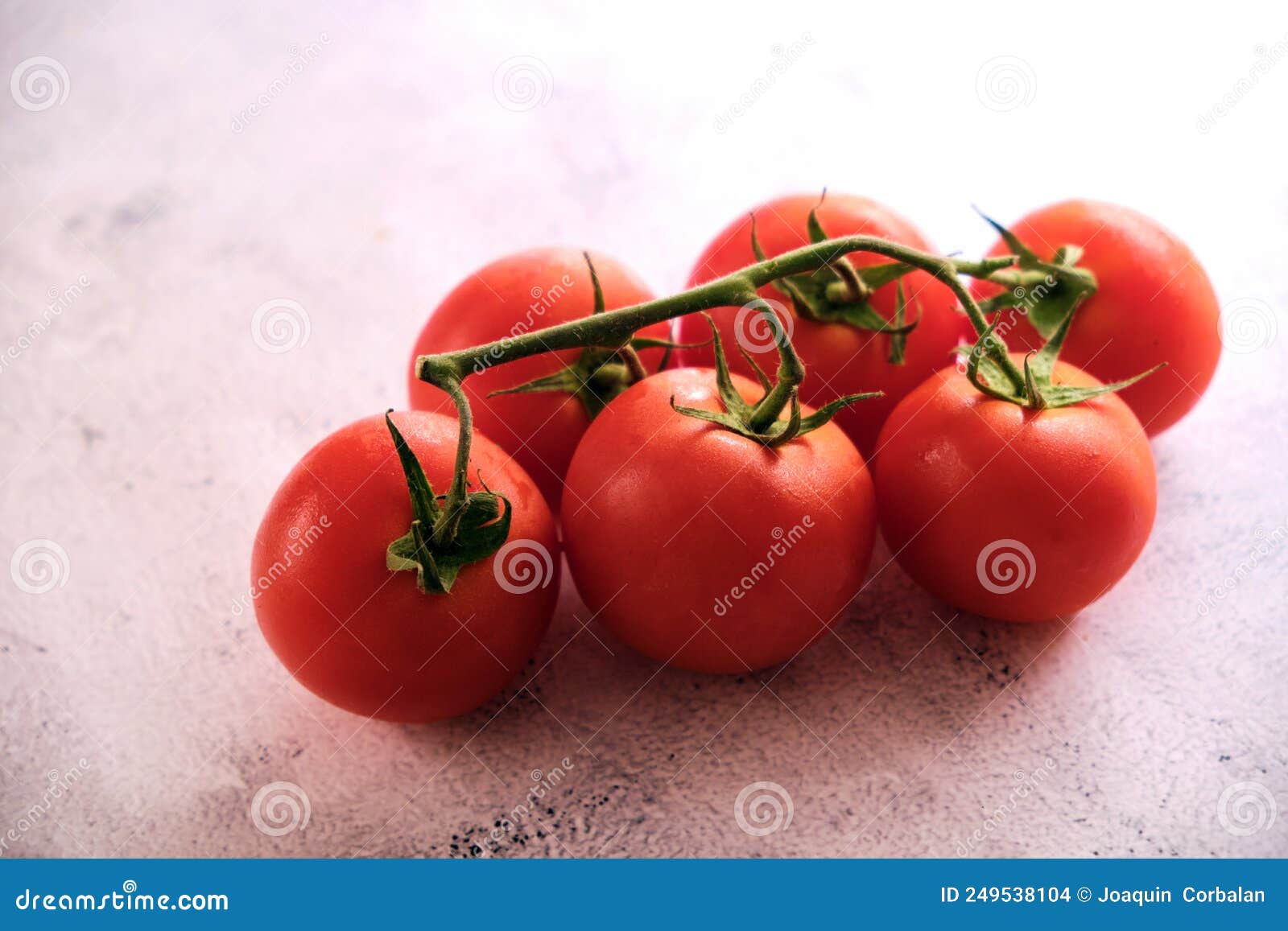 Red Tomato on the Vine, Isolated on a Kitchen Floor Stock Photo - Image ...