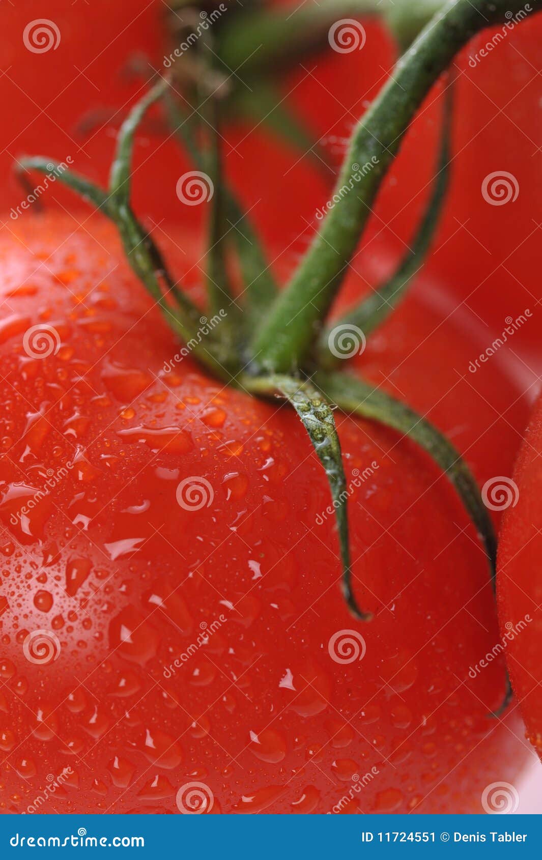 Red tomatoes stock image. Image of organic, bubble, drop - 11724551