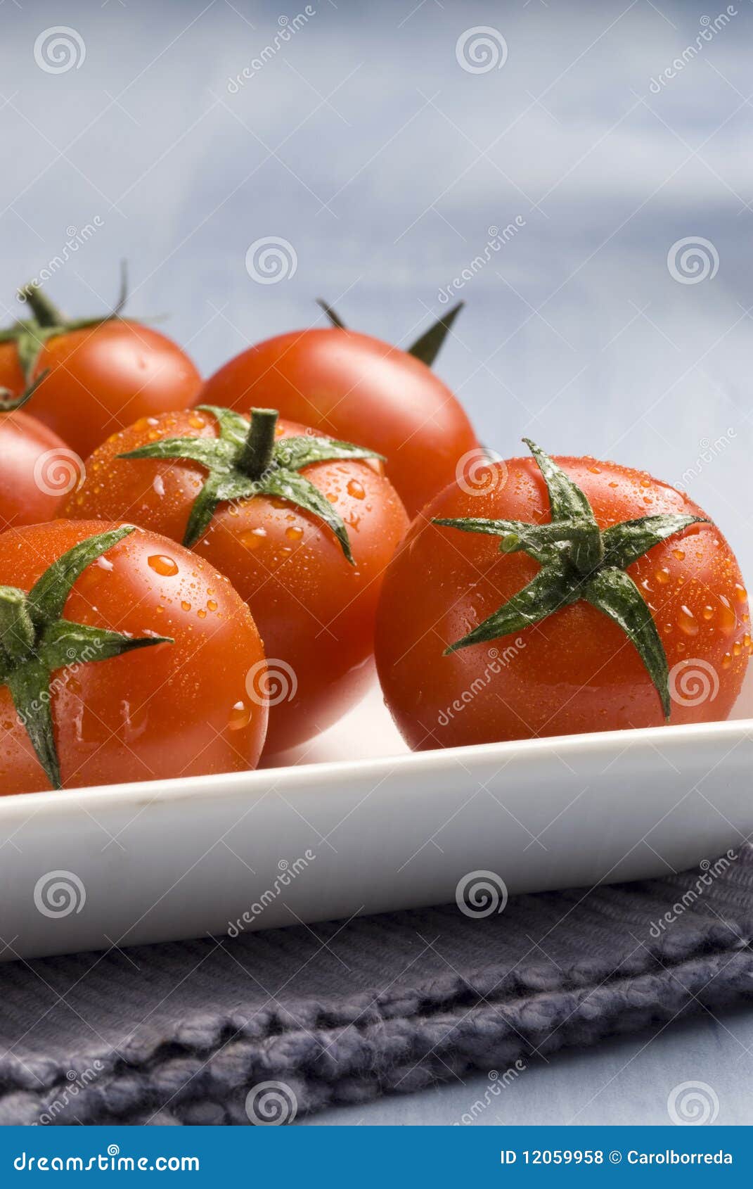 Red tomatoes. stock photo. Image of blue, vegetables - 12059958