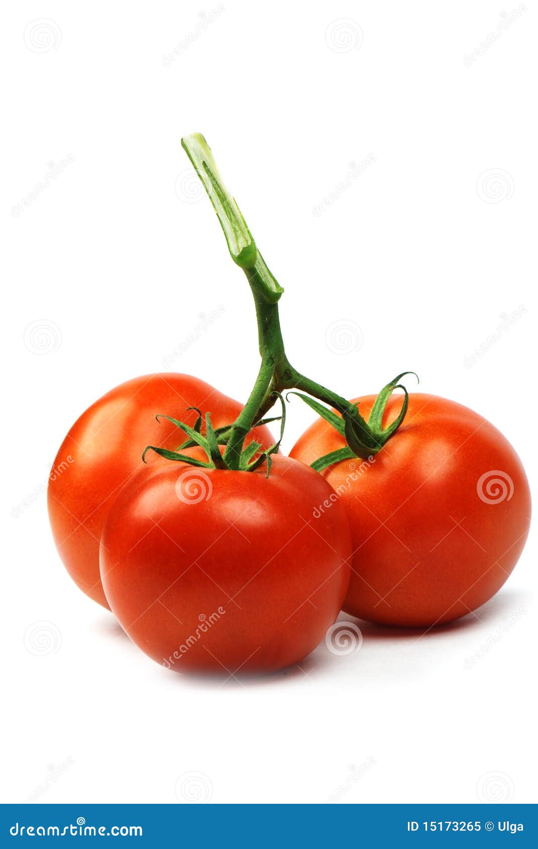 Red tomatoes stock image. Image of plant, food, agriculture - 15173265