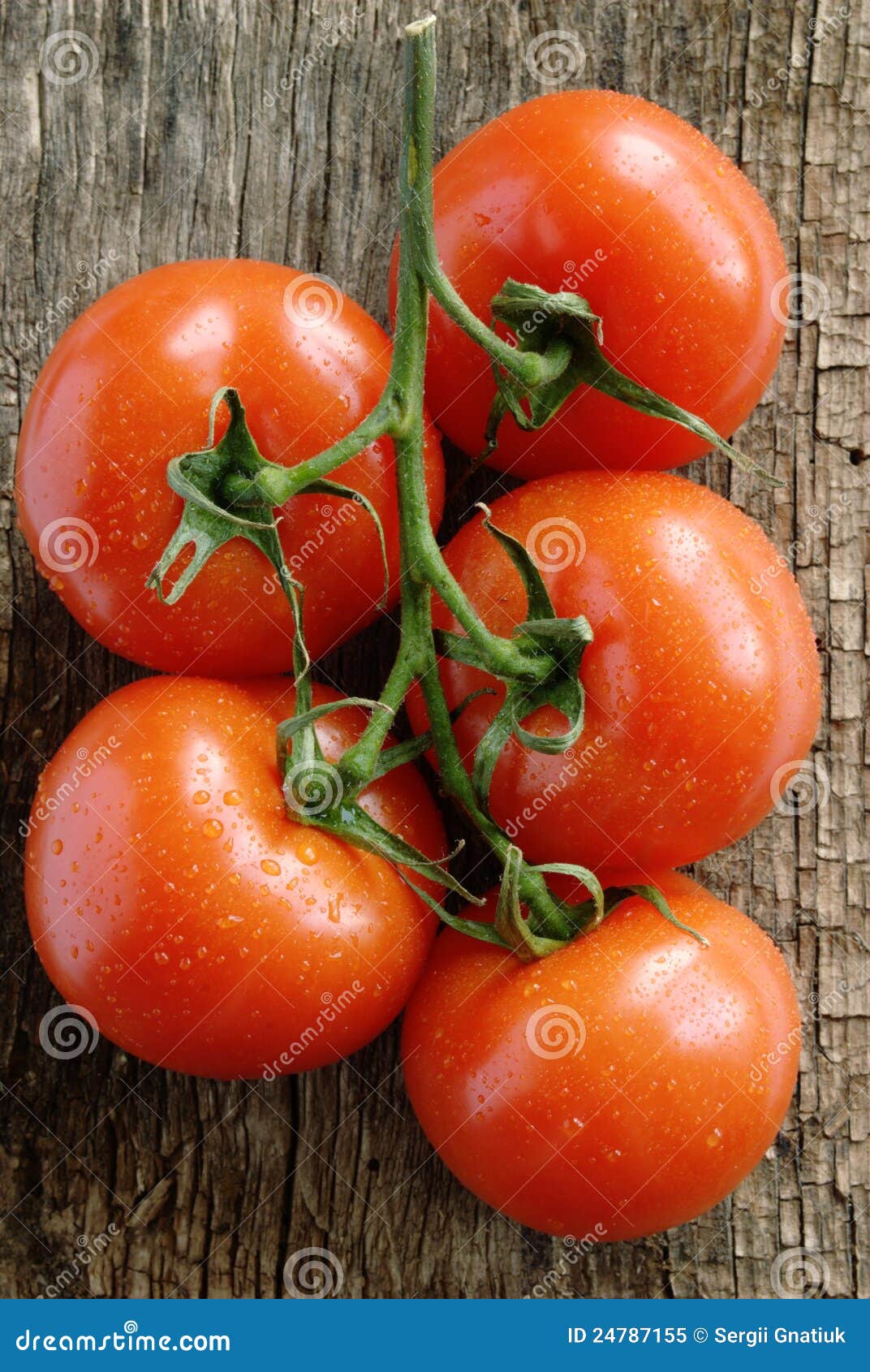 Red tomatoes stock image. Image of ingredient, taste - 24787155