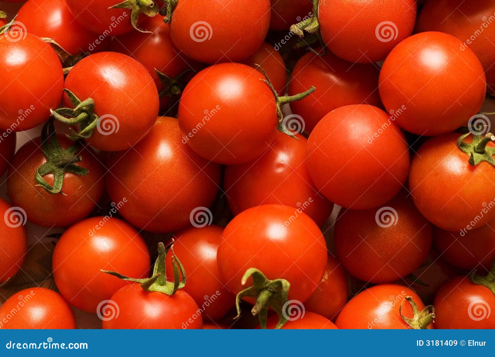 Red tomatoes stock image. Image of crop, citrus, isolated - 3181409