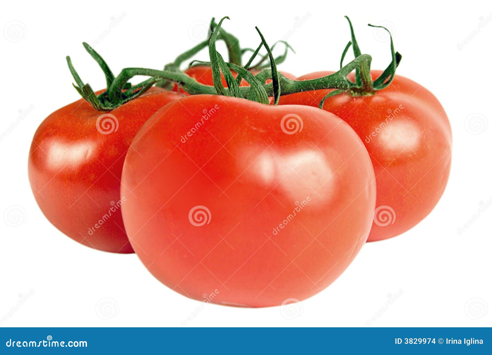 Red tomatoes stock photo. Image of dinner, curve, eating - 3829974