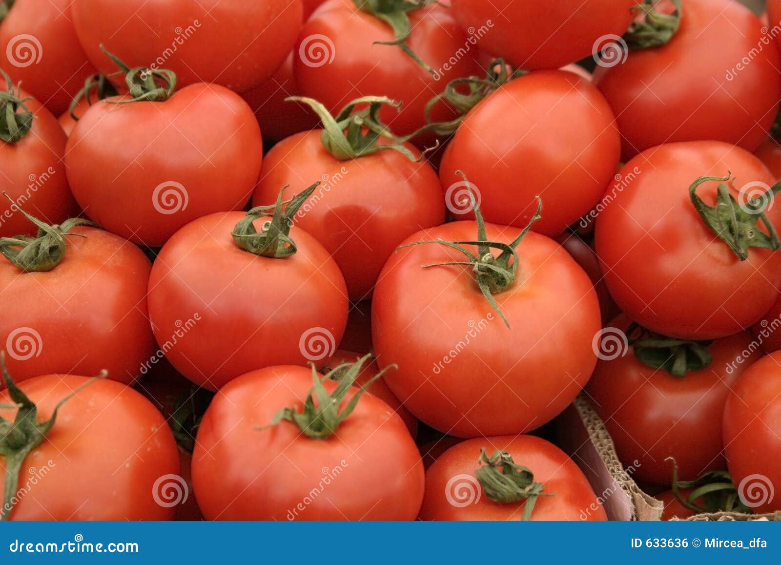 Red tomatoes stock photo. Image of lots, closeup, shop - 633636