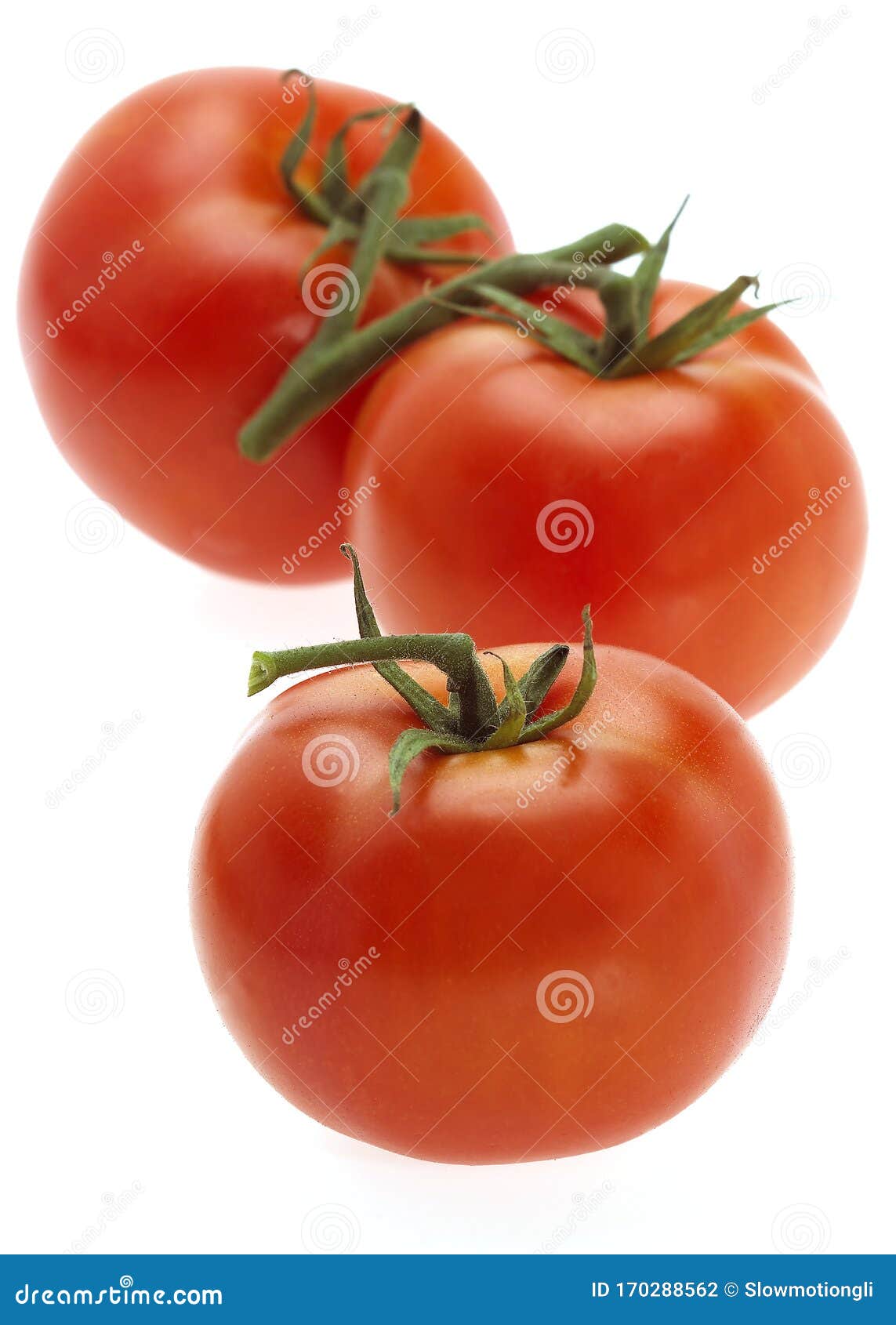 TOMATE ROUGE stock photo. Image of studio, tomatoes - 170288562