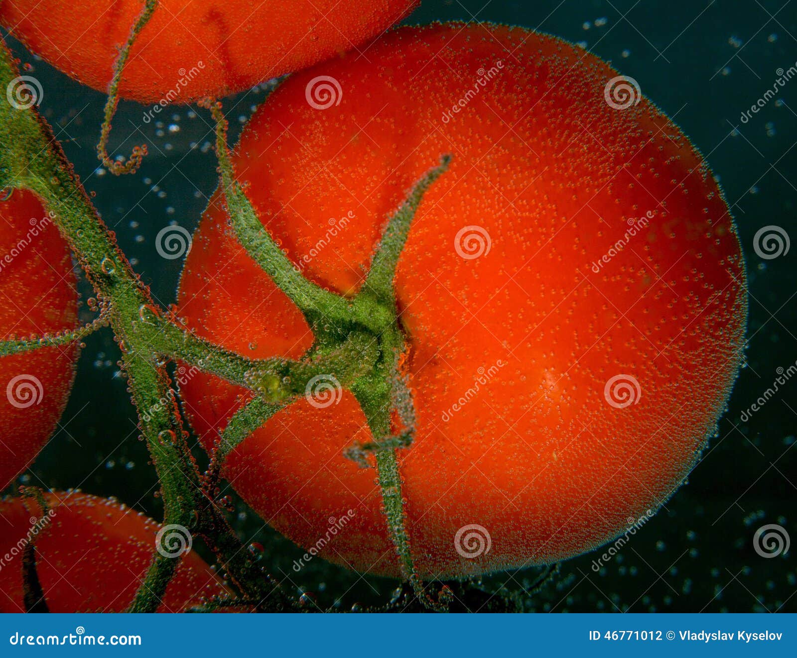 Red Tomatoes with Air Bubble on a Surface on Gray Background Stock ...