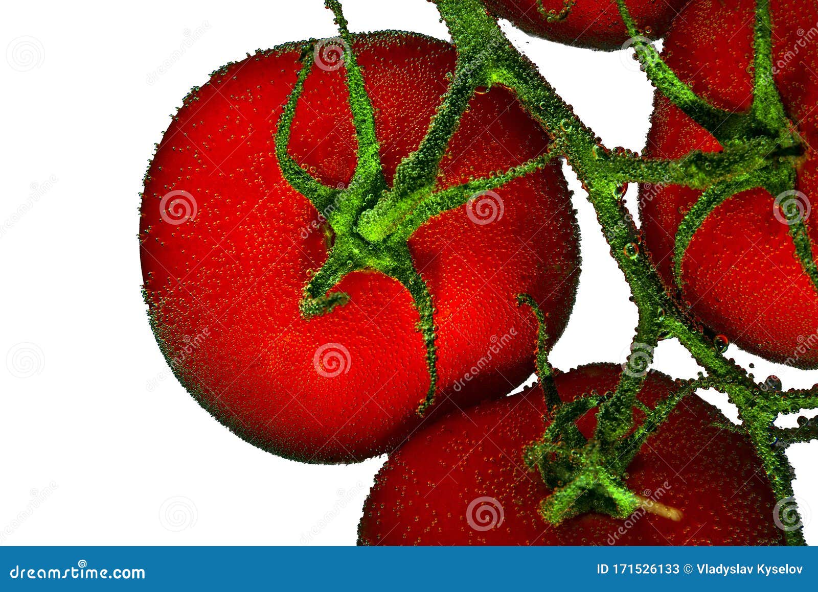 Red Tomatoes with Air Bubble on a Surface on a White Background Stock ...