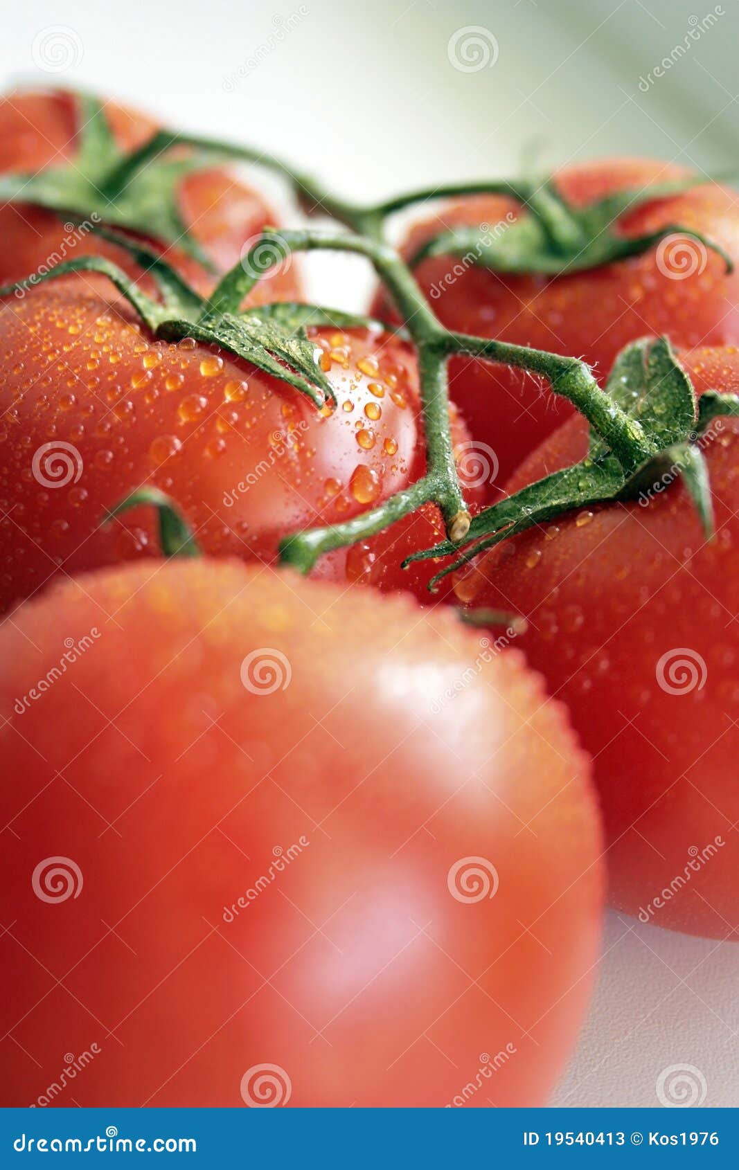 Red Tomatoes on a Fruit Steam Stock Image - Image of steam, pure: 19540413