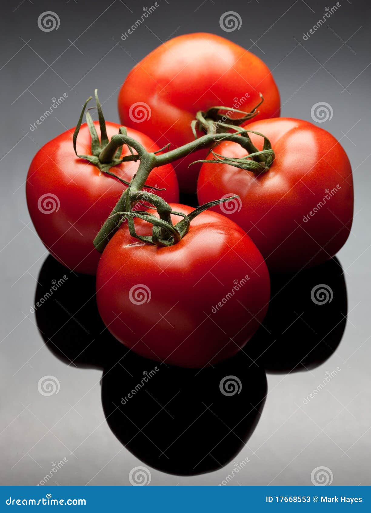 Red tomatoes on vine stock image. Image of healthy, ingredient - 17668553