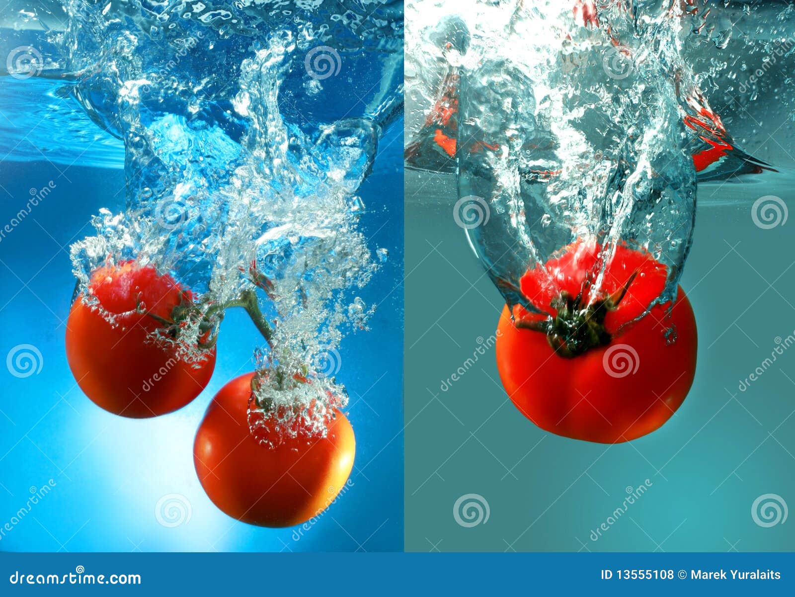 Red tomatoes in water stock photo. Image of fluid, clean - 13555108