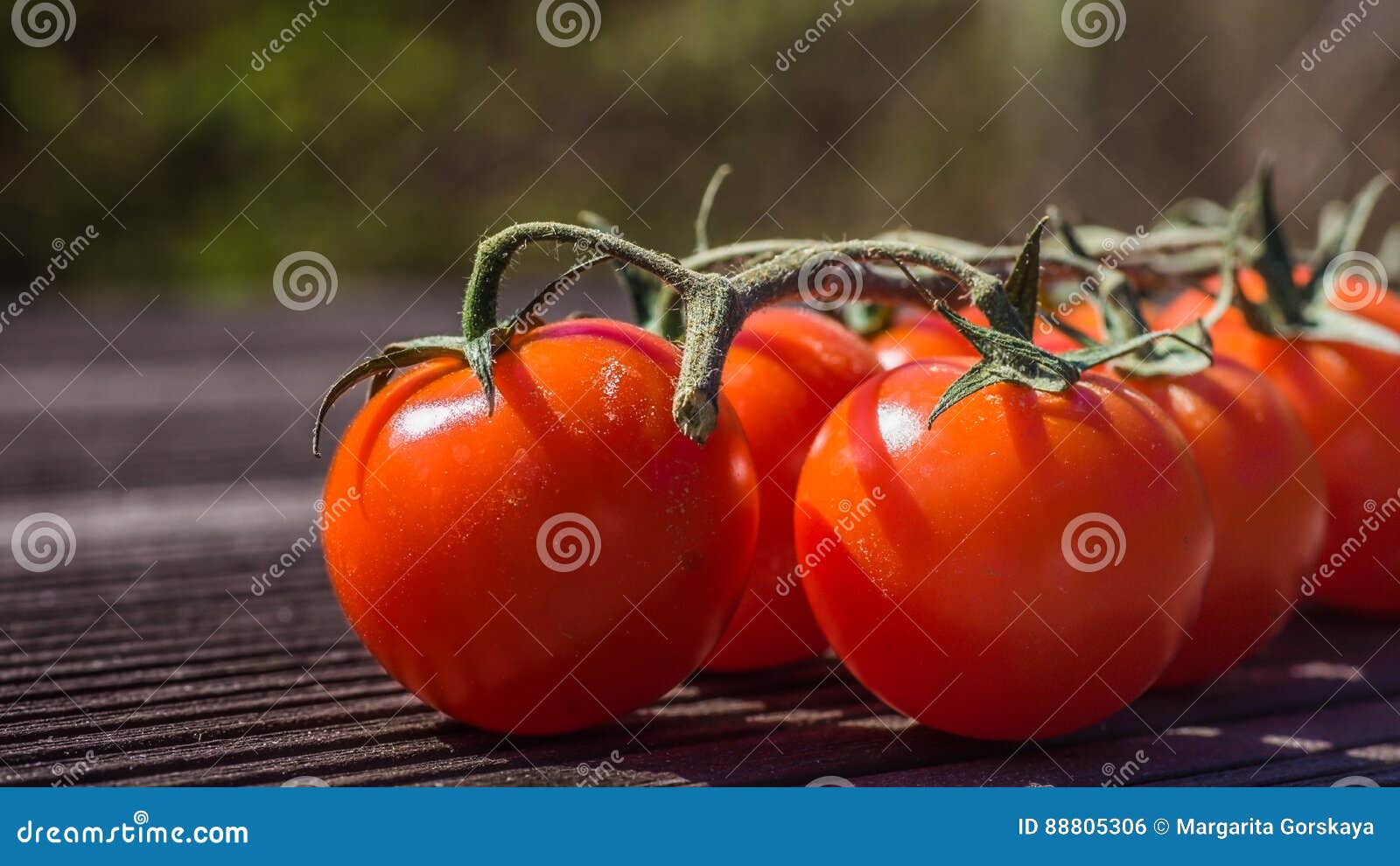 Red tomatoos stock photo. Image of salad, organic, freshness - 88805306