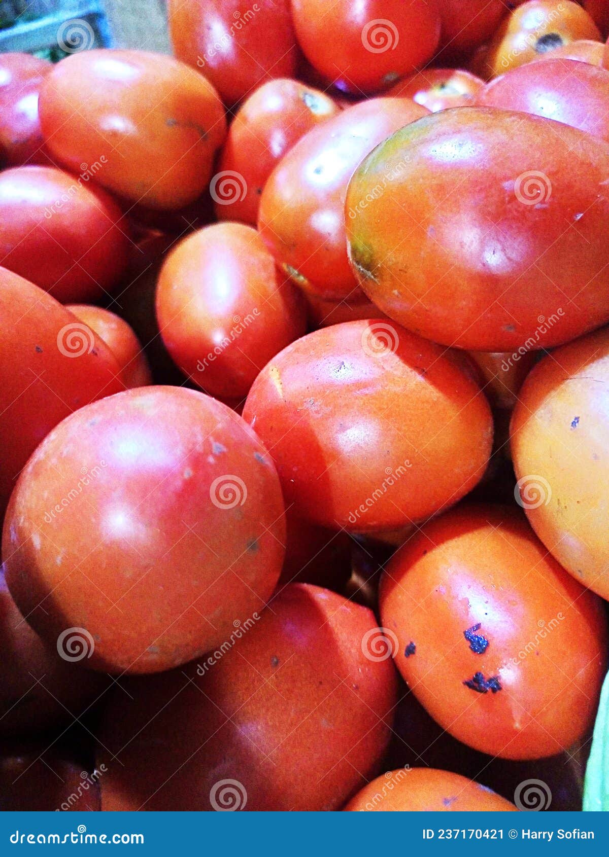 Tomatto Group Stock Photos - Free & Royalty-Free Stock Photos from ...