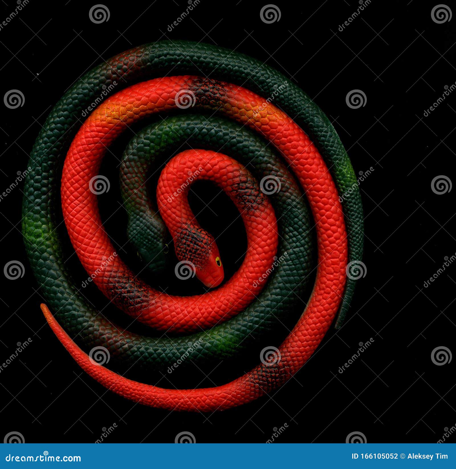 Red Toy Rubber Snake Rolled Up in a Ball. Colored Toy Snake. Rubber ...