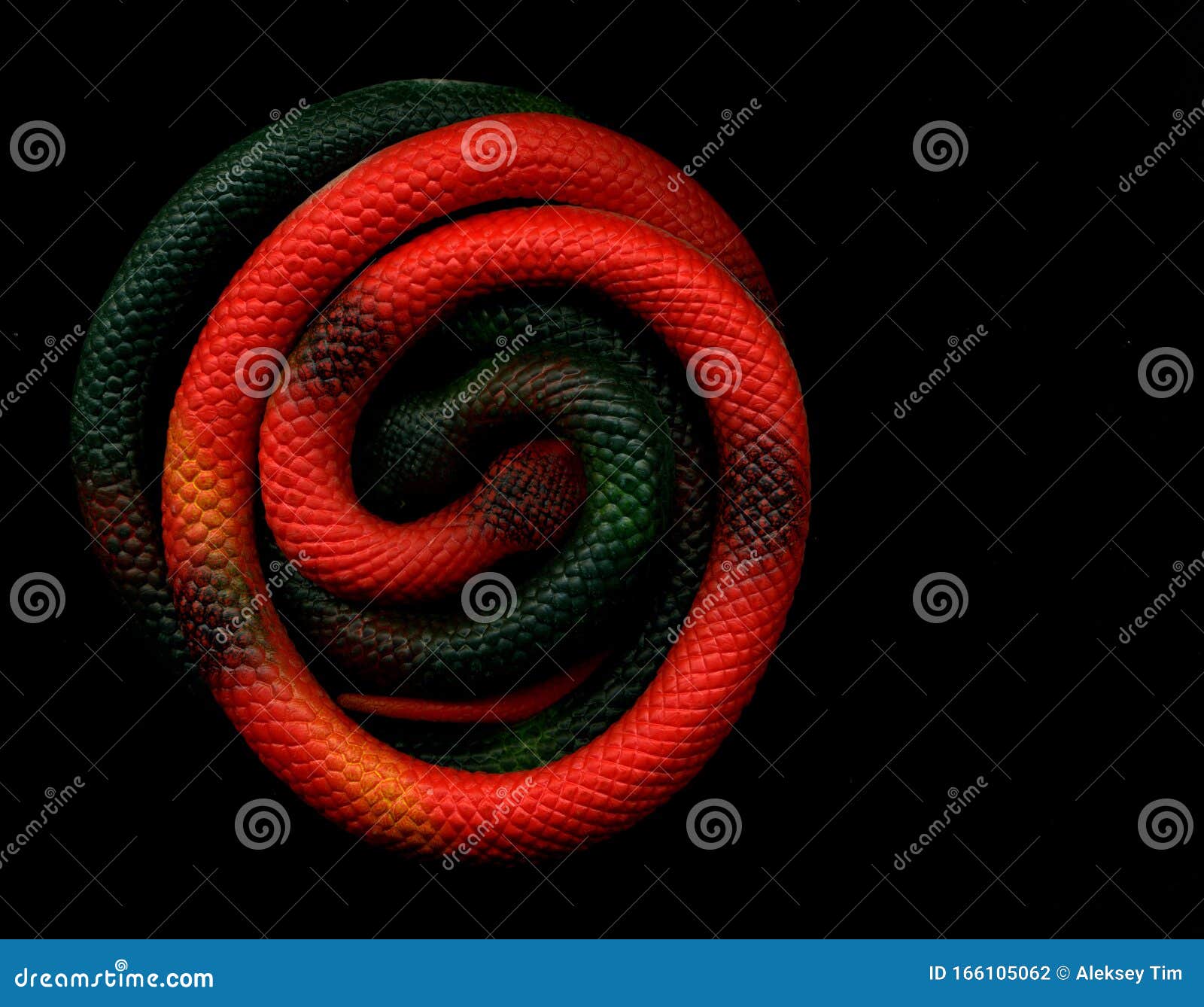 Red Toy Rubber Snake Rolled Up in a Ball. Colored Toy Snake. Rubber ...