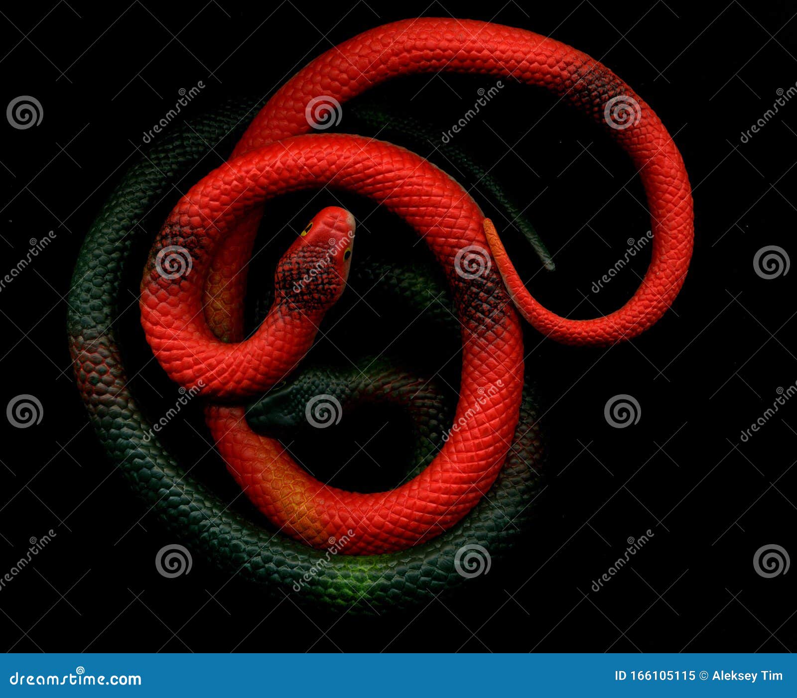 Red Toy Rubber Snake Rolled Up in a Ball. Colored Toy Snake. Rubber ...