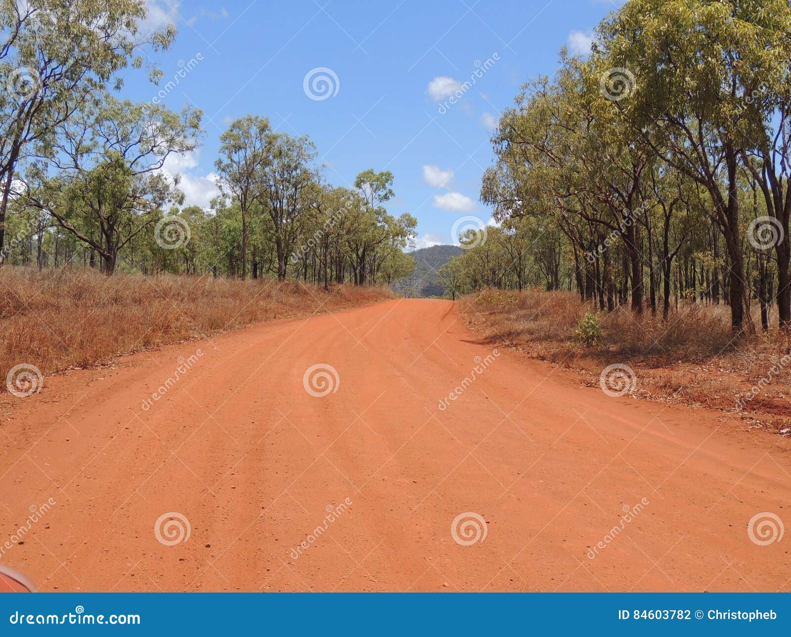 Red track in Queensland stock photo. Image of gumtree - 84603782