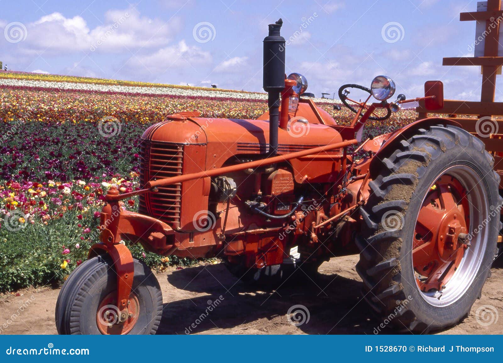 Red Tractor stock photo. Image of agriculture, colorful - 1528670