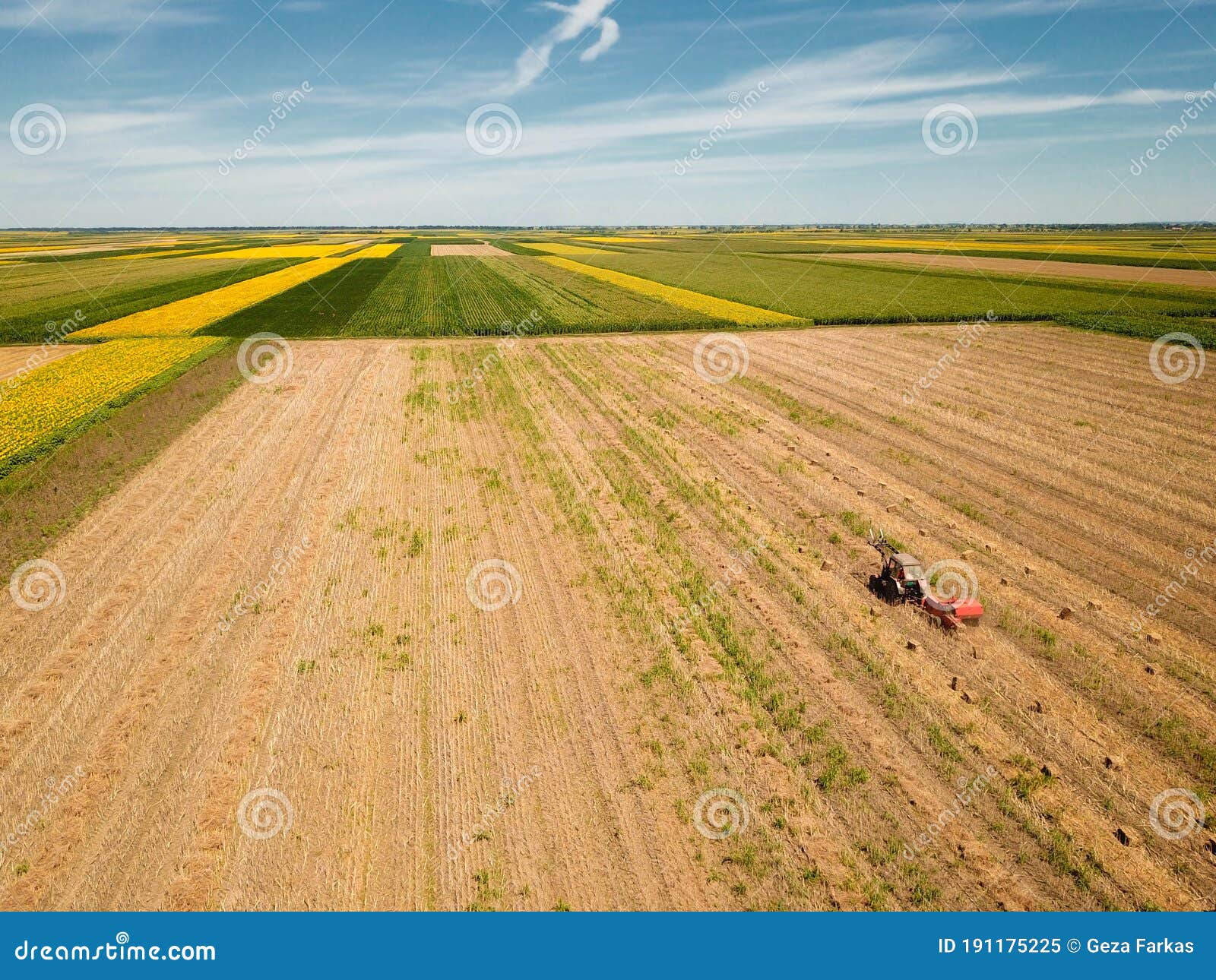 Red Tractor Baling Hay, Sunflower Fields and Blue Sky in the Background ...