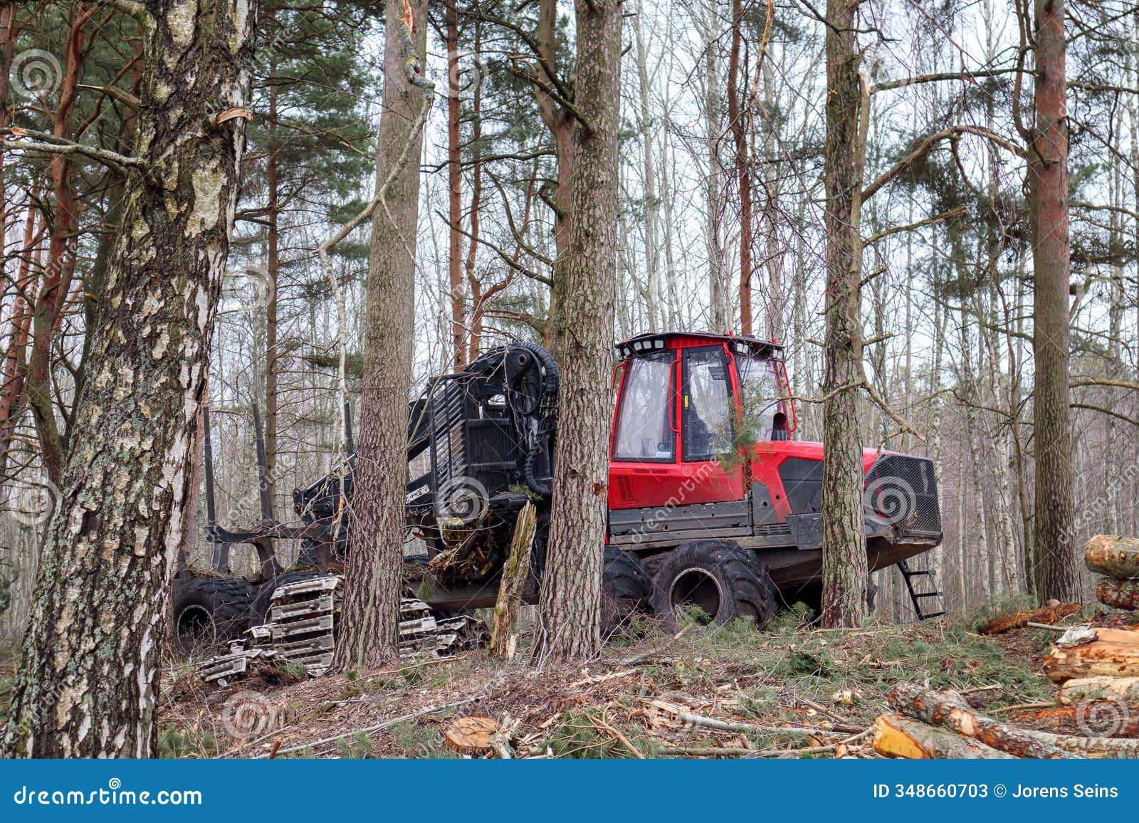 .a Red Tractor is Doing Logging Work in the Forest Stock Image - Image ...