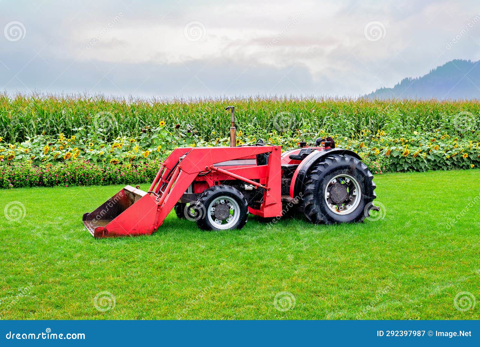 Red Tractor with Front Loading Bucket Under the Rain on Green Lawn ...