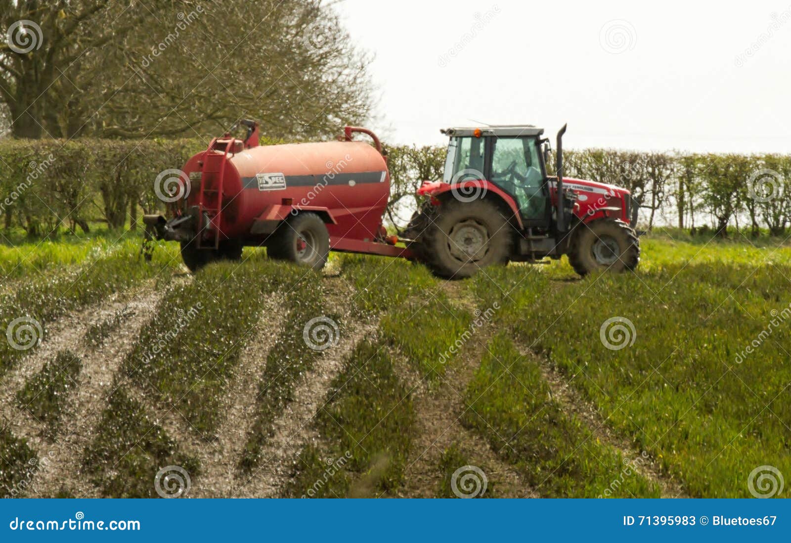 Red Tractor Spreading Spreading Slurry on Fields Editorial Stock Photo ...