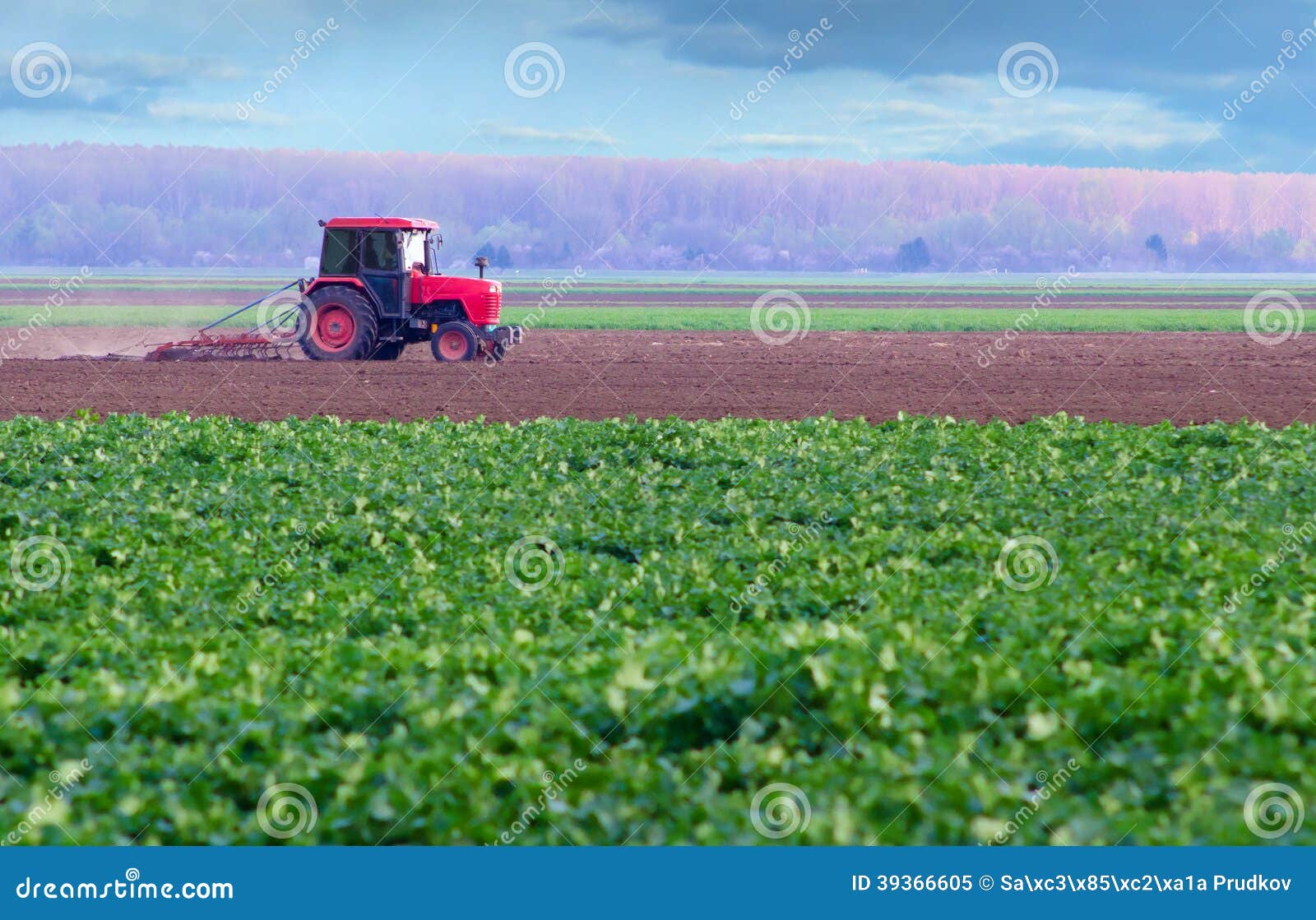 Red Tractor Working on Thre Agricultural Field Stock Image - Image of ...