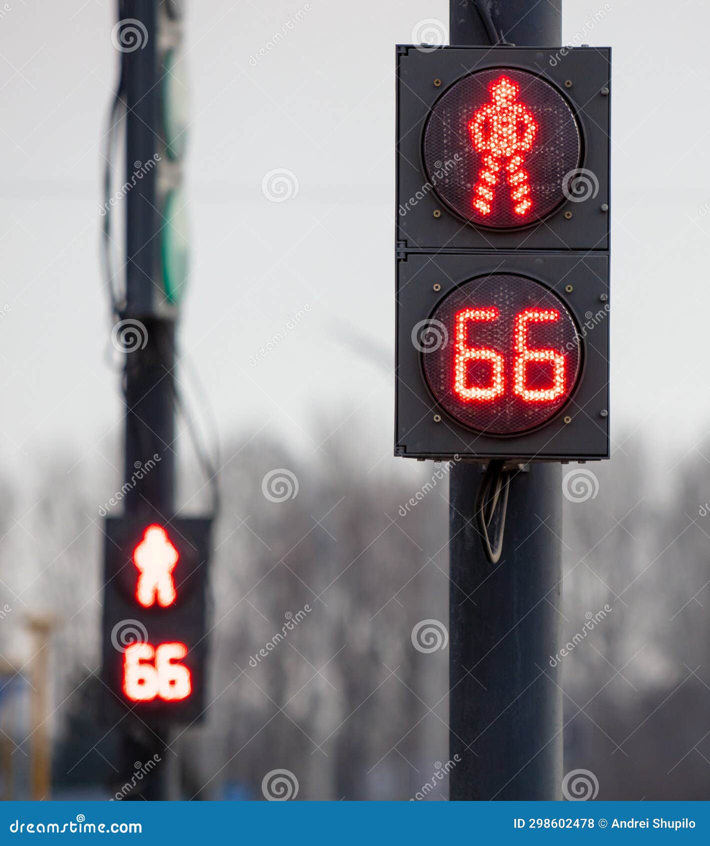 Red Traffic Light for a Pedestrian with a Countdown Stock Photo - Image ...