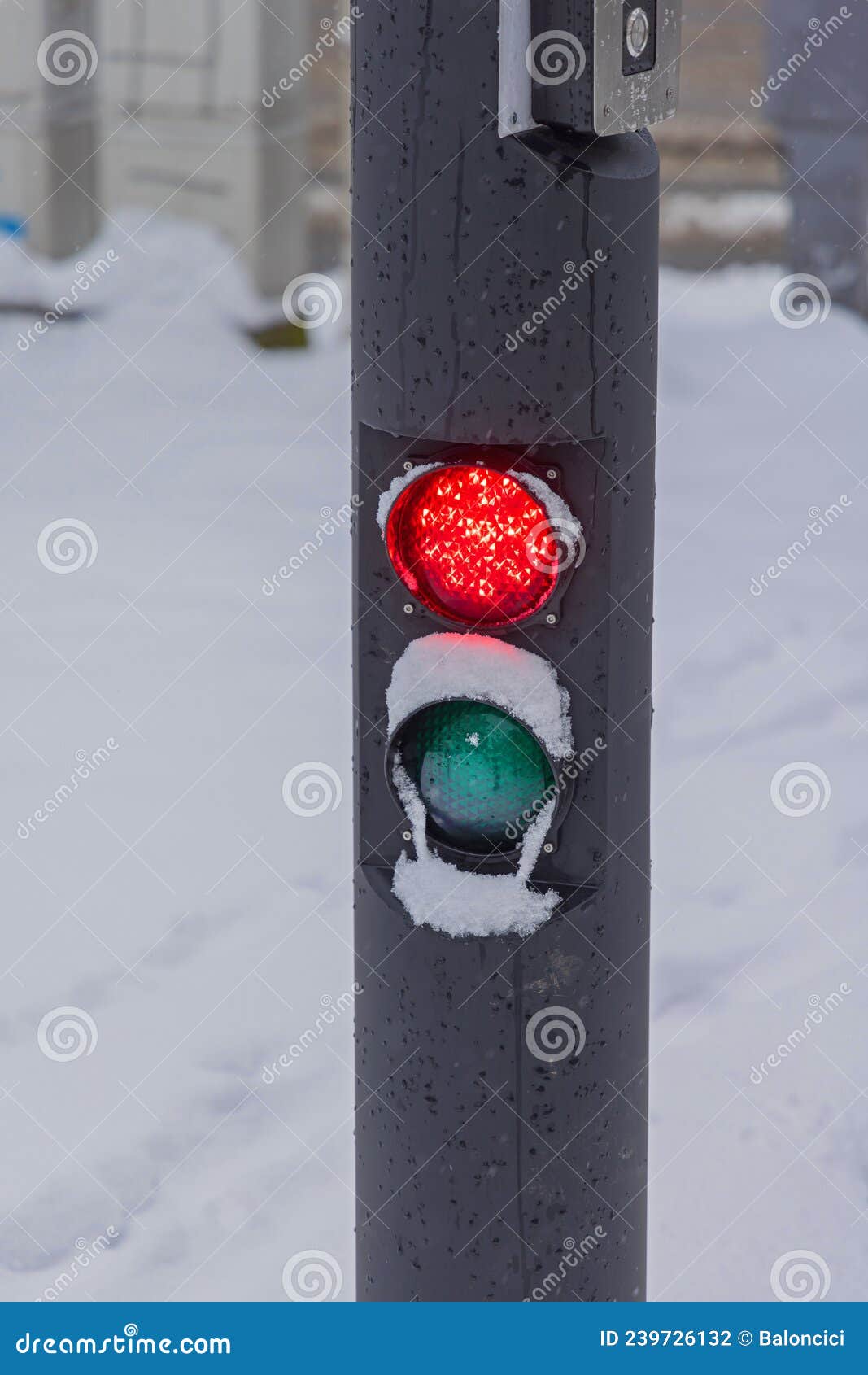 Red Traffic Light Pedestrians Stock Photo - Image of balkans, sign ...