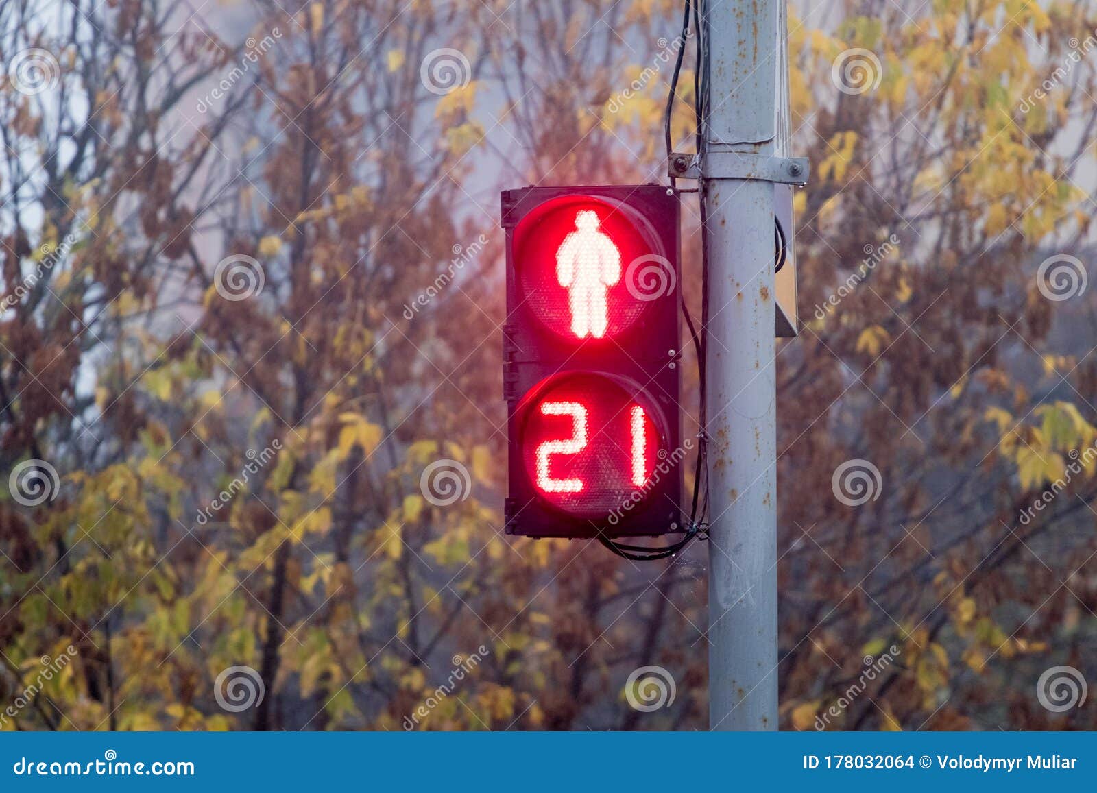 A Red Traffic Light Prohibits Pedestrian Traffic Stock Photo - Image of ...